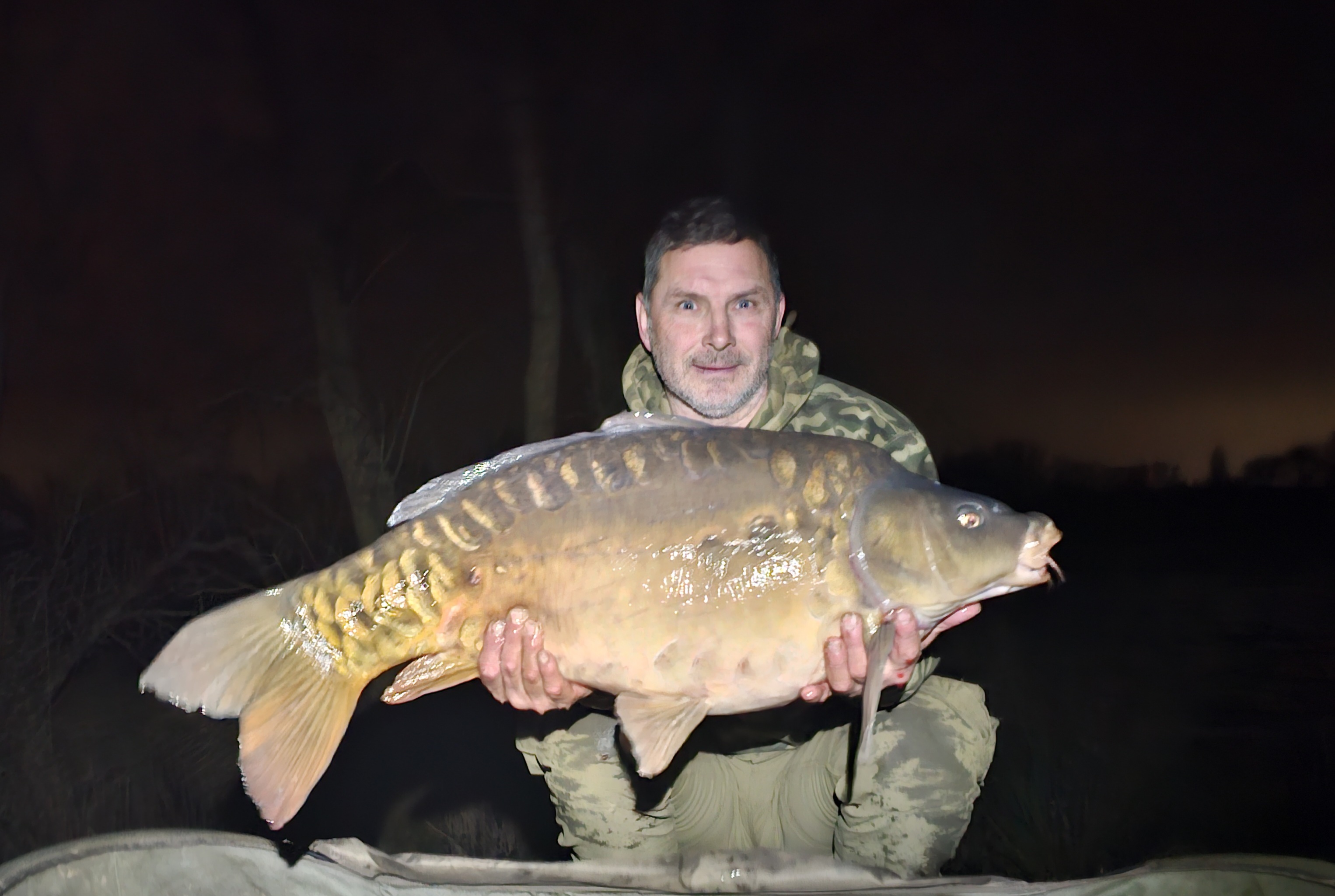 Sandmartin | Total Carp